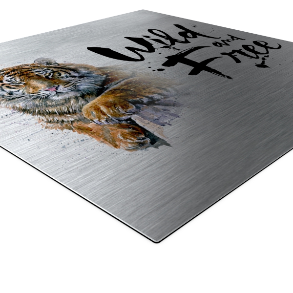 Brushed metallic finish shows the naked surface in place of the whites