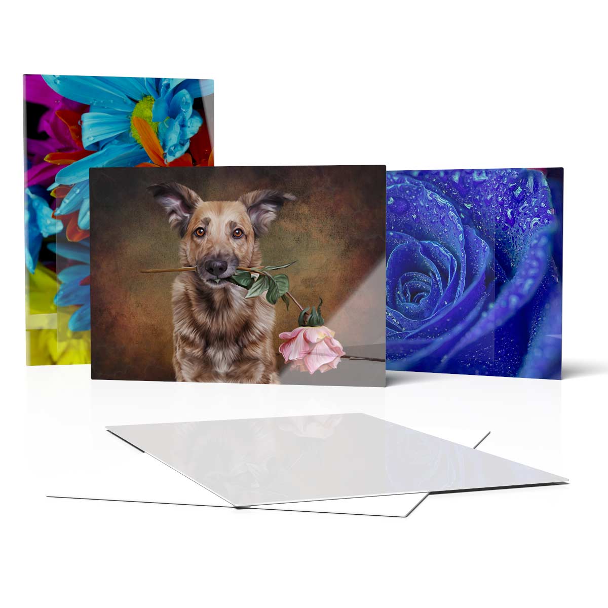 Digitally Cut to Precision